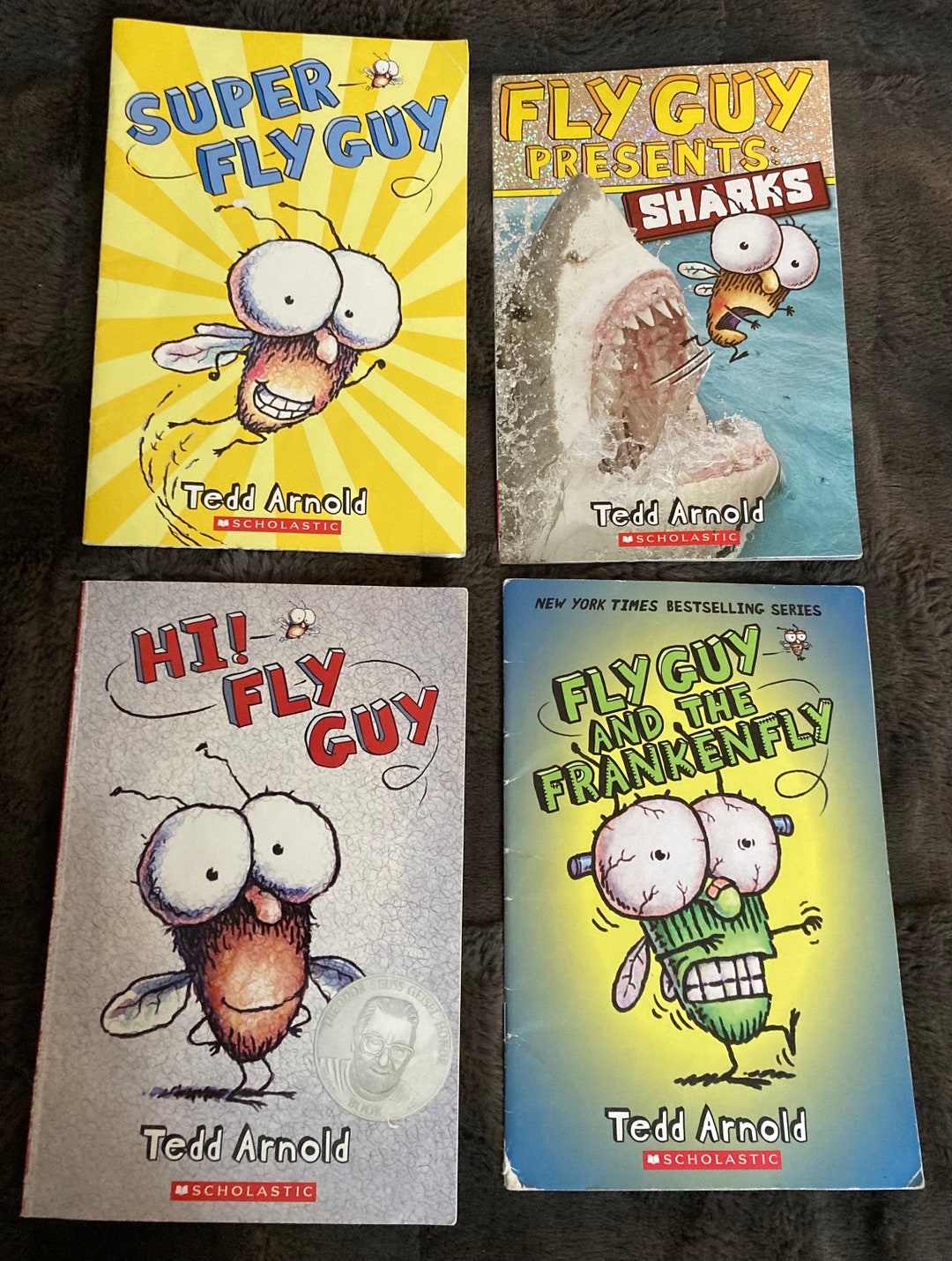 Set of 4 FLY GUY Scholastic Childrens Paperback Books by Tedd Arnold - Etsy