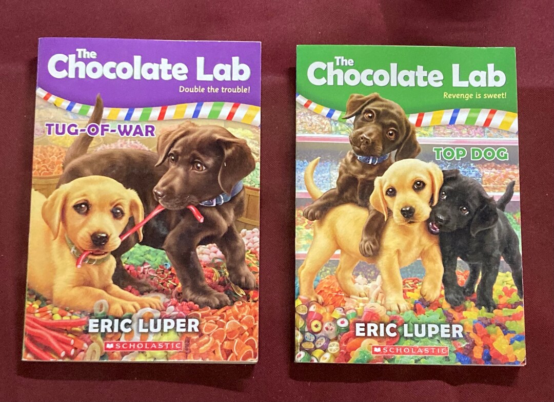 Set of 2 the Chocolate Lab Series Scholastic Books by Eric Luper - Etsy