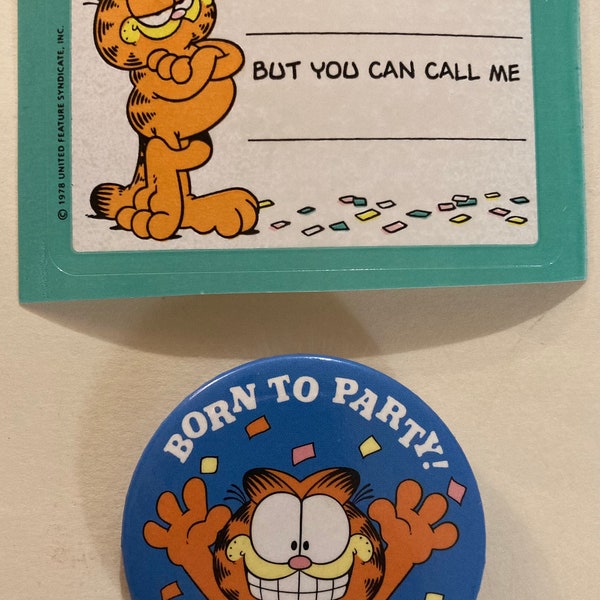 Garfield Party - Etsy