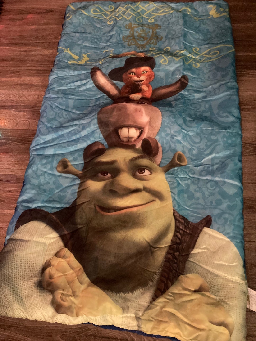 SHREK the Third Sleeping Bag - Etsy