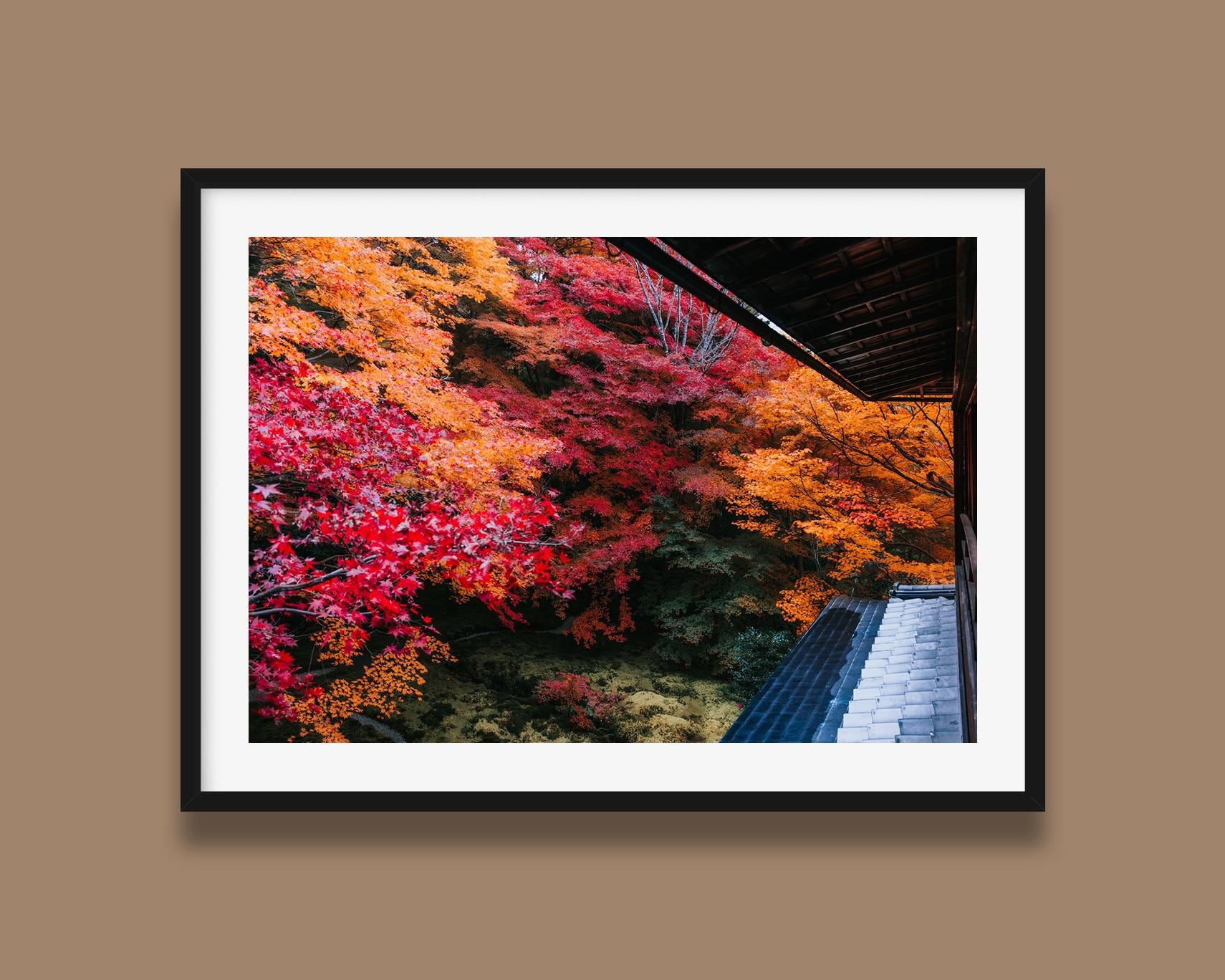 Japanese Maple Tree Art Print: Kyoto Autumn Landscape Photo - Etsy