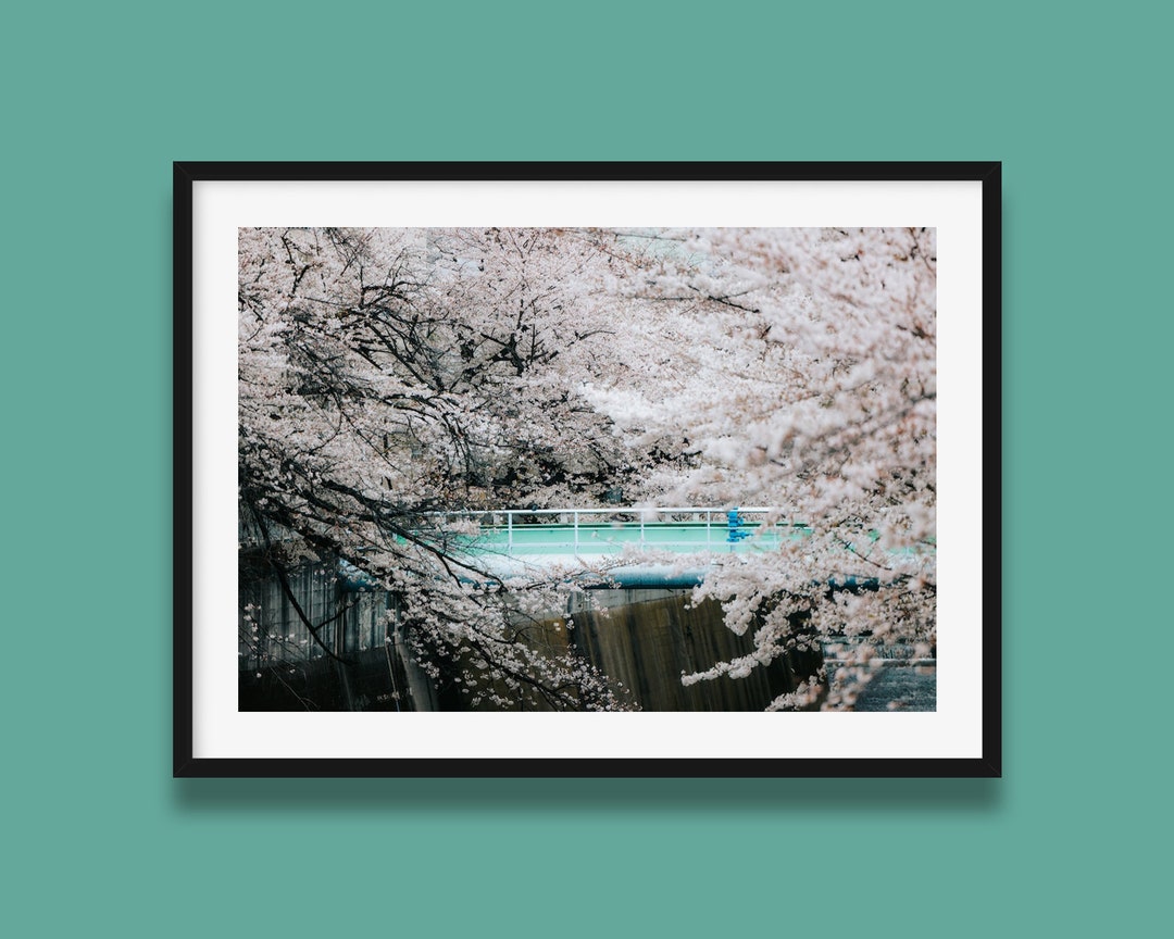 Tokyo Sakura Original Art Print Landscape, Kanda River Sakura Print ...