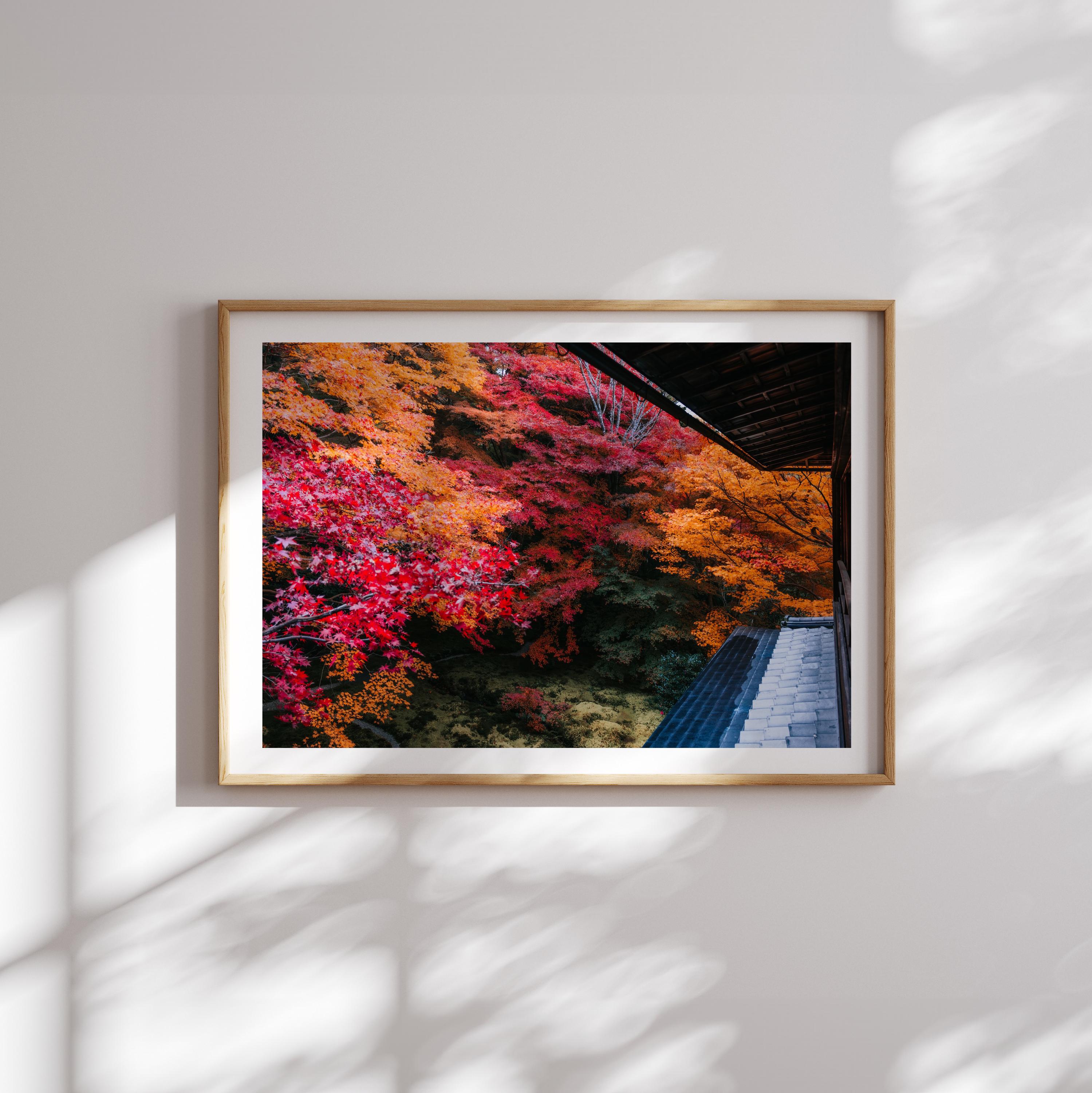 Japanese Maple Tree Art Print: Kyoto Autumn Landscape Photo - Etsy