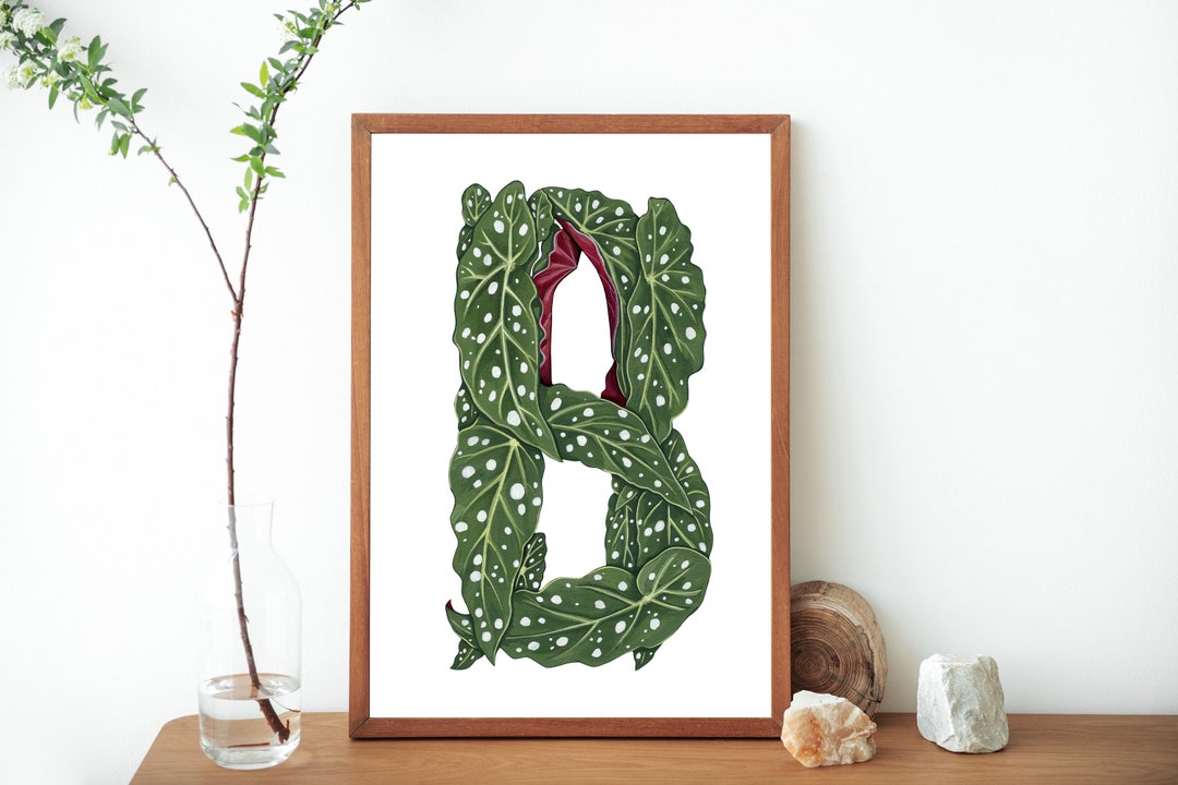 Botanical Letter B Alphabet Print Begonia Maculata Wightii Leaves ...