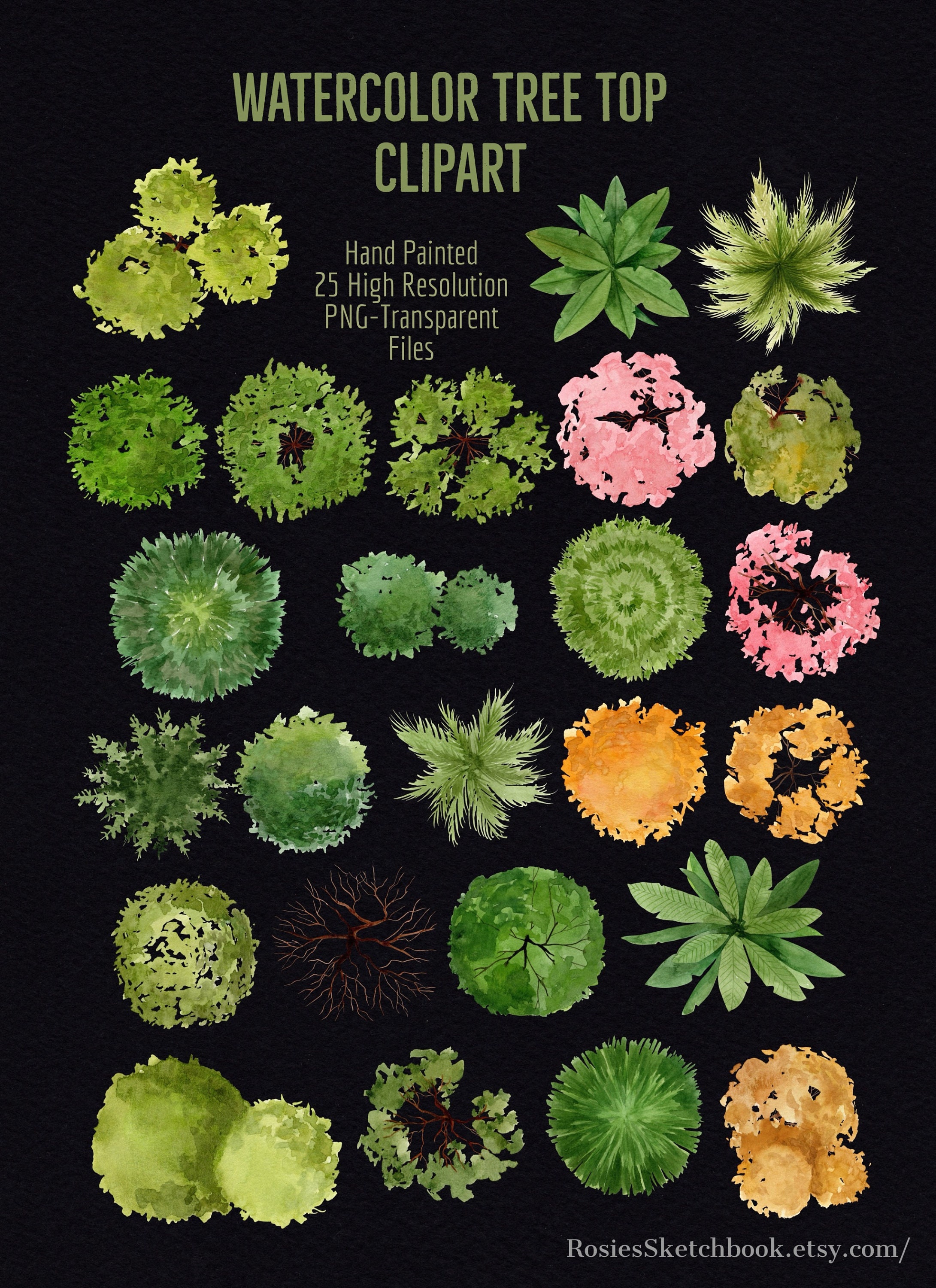 Watercolor Tree Top View Landscape Tree Plan View Landscape - Etsy Ireland