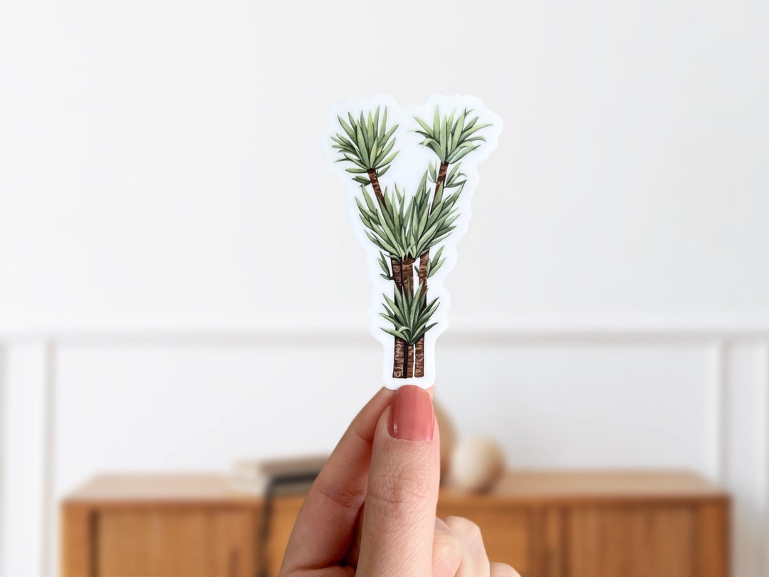 Letter Y Yucca Plant Sticker- Botanical Alphabet Initial Sticker- Matte ...