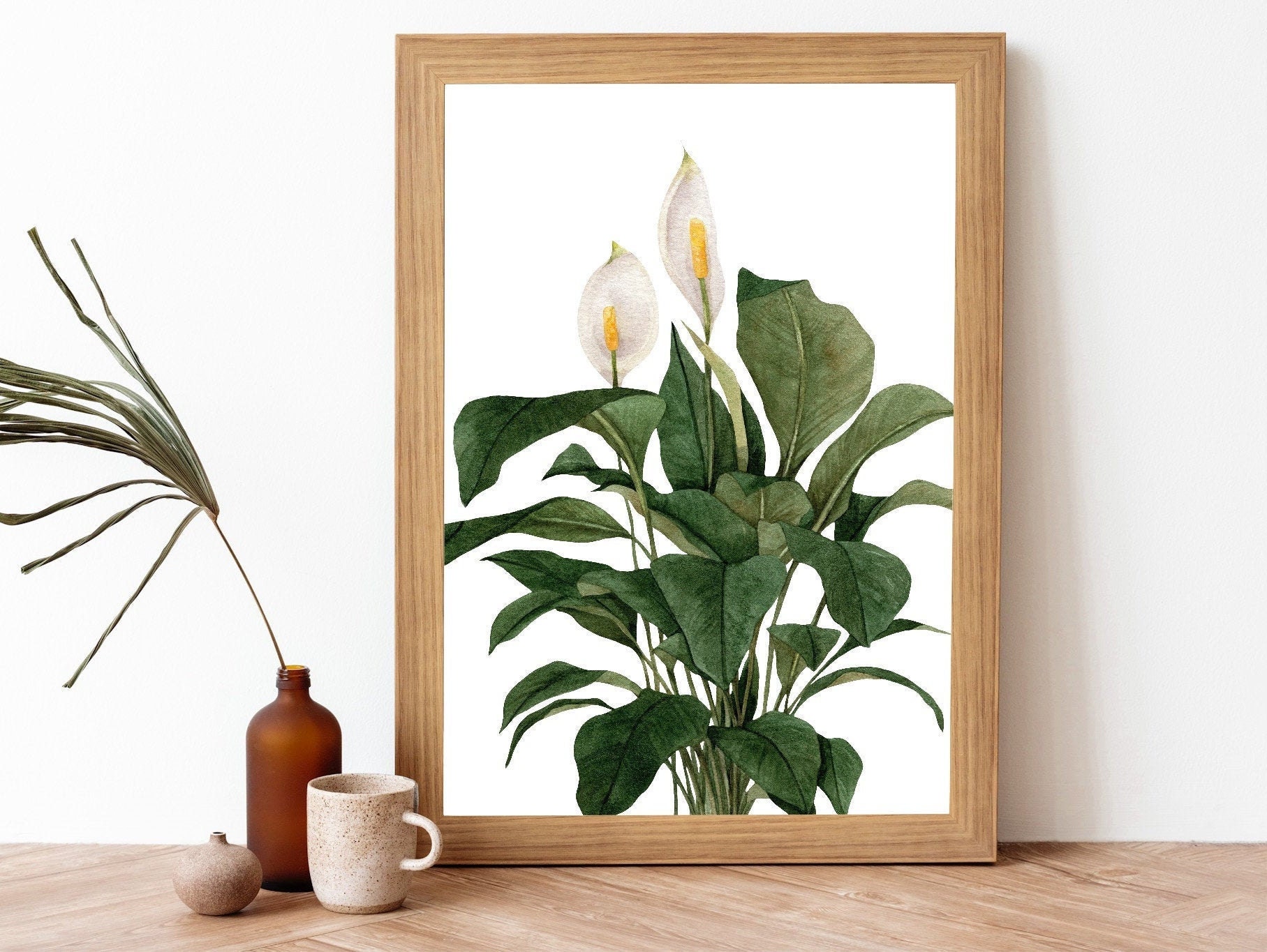 Peace Lily Leaf Drawing