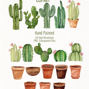 Watercolor Cactus Clipart- Hand Painted Cacti Graphics- Desert Plants ...