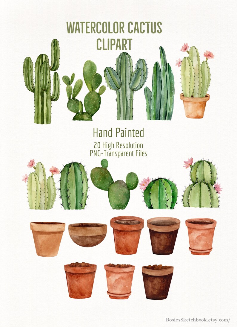 Watercolor Cactus Clipart- Hand Painted Cacti Graphics- Desert Plants ...