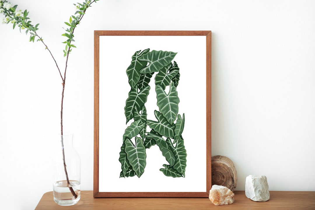 Botanical Letter A Alphabet Print Alocasia Frydek Leaves Painting ...