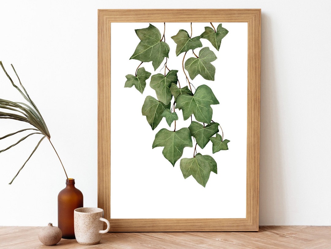 Watercolor Hanging Ivy Painting Printable Art Print- English Ivy Art ...