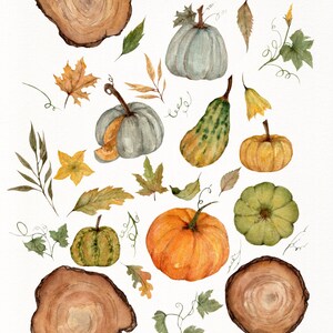 Fall Watercolor Pumpkin Clipart- Rustic Farm Autumn Clip Art ...