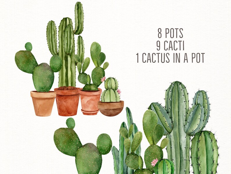 Watercolor Cactus Clipart Hand Painted Cacti Graphics Desert | Etsy