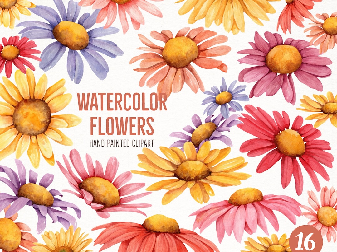 Hand Painted Colourful Watercolor Daisy Flowers Clipart- Watercolor ...
