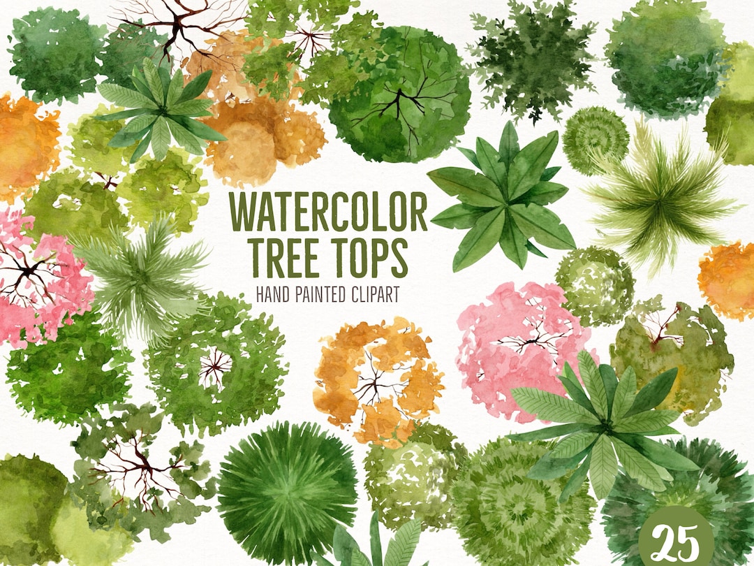 Watercolor Tree Top View Clipart: Landscape Plan Graphics (digital ...