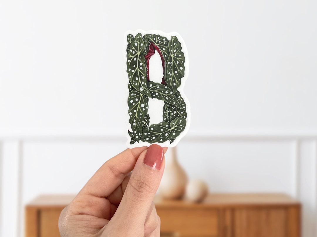Letter B Begonia Plant Sticker: Matte Botanical Initial - Etsy