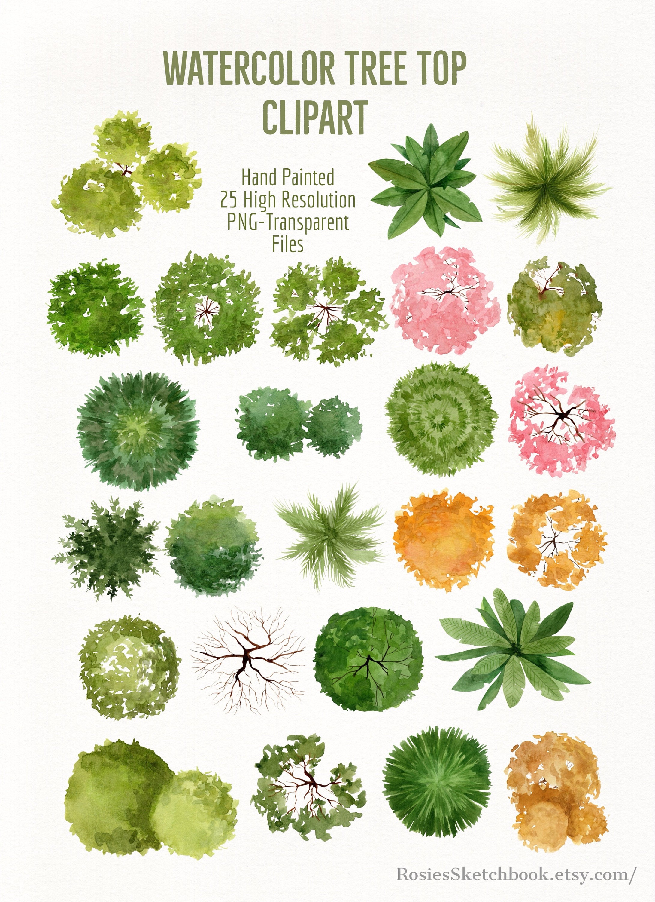 Watercolor Tree Top View Landscape Tree Plan View Landscape - Etsy Ireland