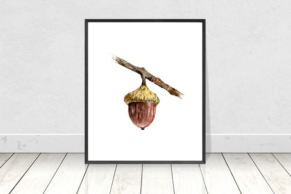 Watercolor Acorn Botanical Painting Printable Art Print Fall | Etsy