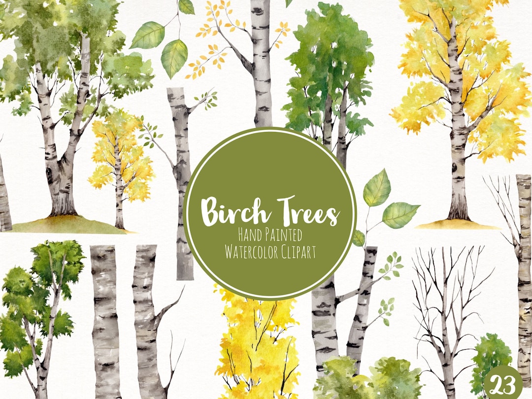 Watercolor Birch Tree Clipart: Hand-painted Aspen Tree Graphics ...