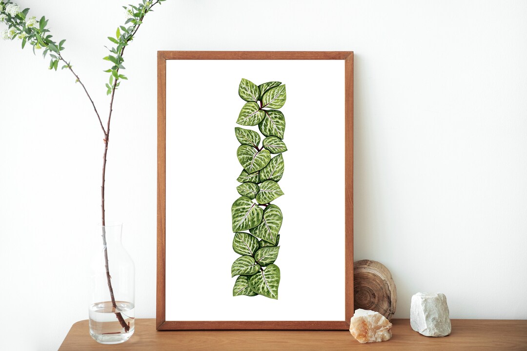 Botanical Letter I Alphabet Print Iresine Herbstii Painting Letter I ...
