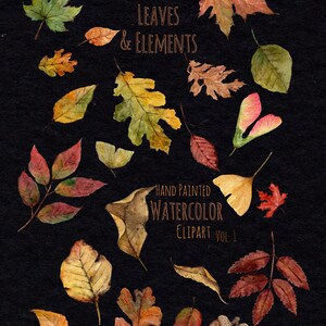 Watercolor Autumn Leaves Clipart- Fall Leaf Hand Painted Clip Art ...