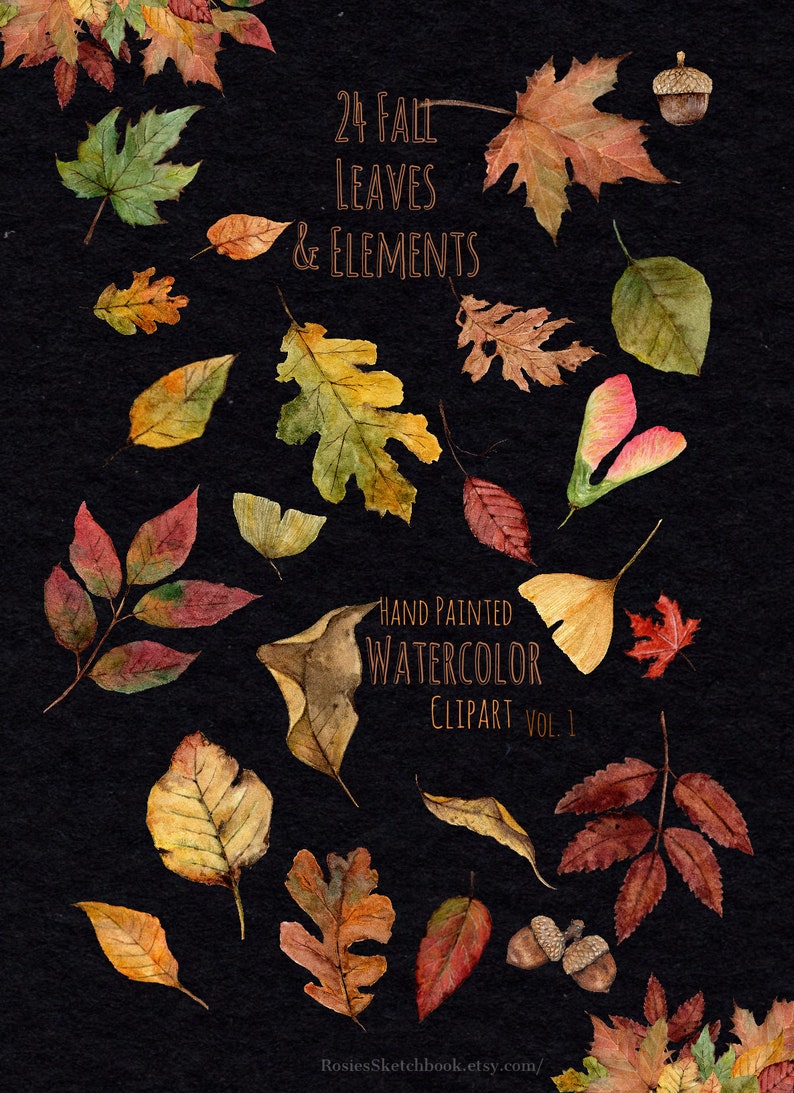 Watercolor Autumn Leaves Clipart Fall Leaf Hand Painted Clip - Etsy