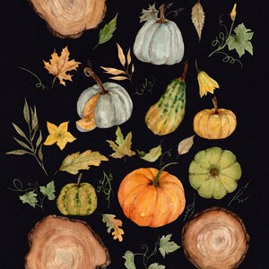 Fall Watercolor Pumpkin Clipart- Rustic Farm Autumn Clip Art ...