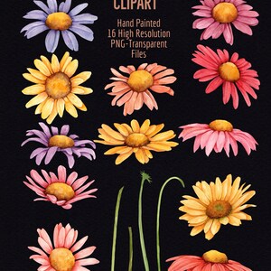 Hand Painted Colourful Watercolor Daisy Flowers Clipart- Watercolor ...