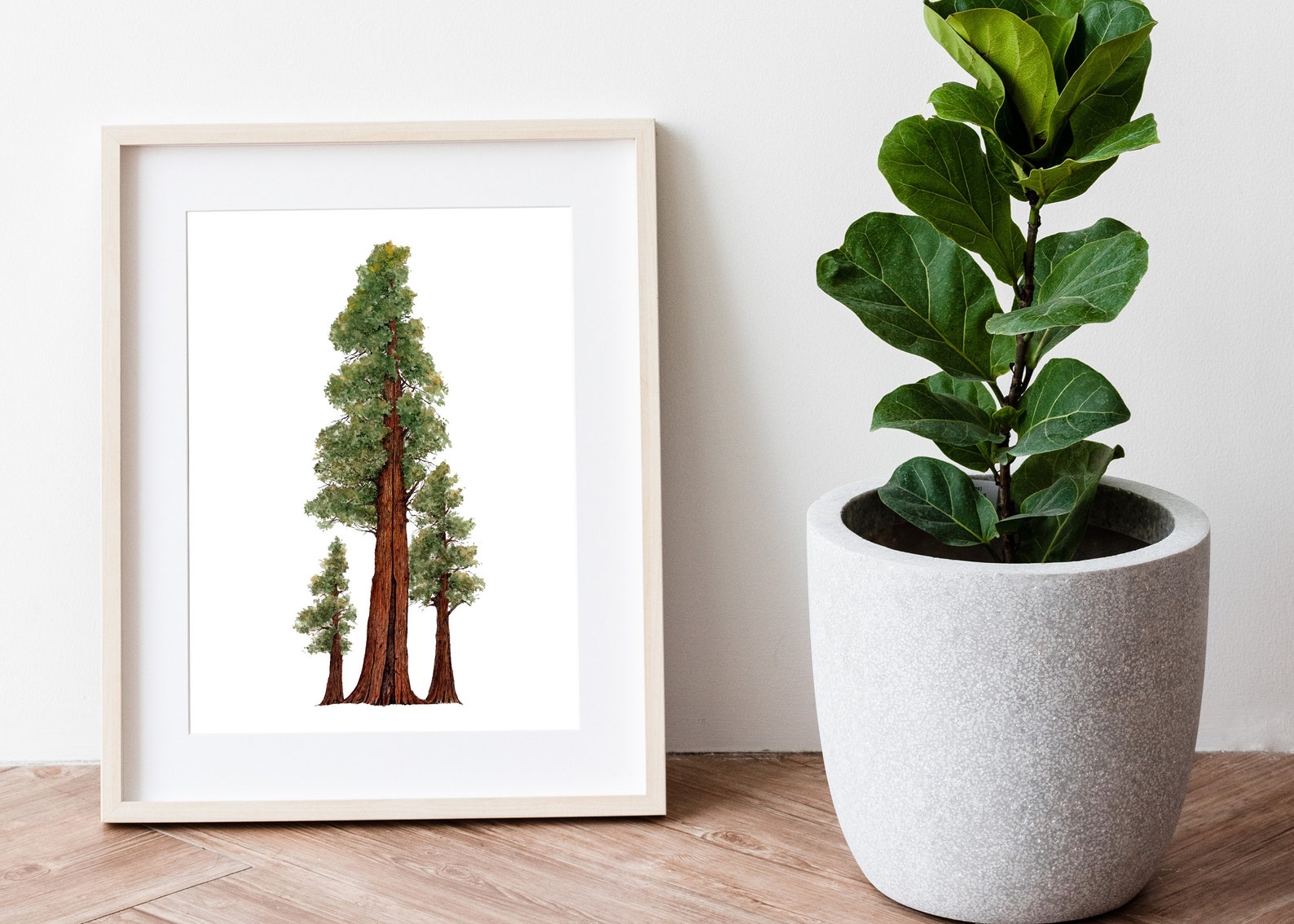 Redwood Tree Watercolor Painting Art Print Northern | Etsy