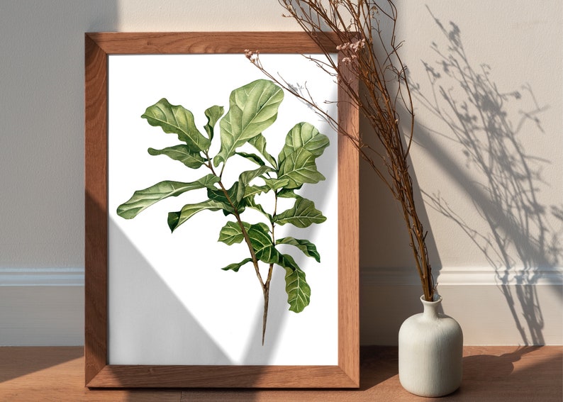 Fiddle Leaf Fig Tree Watercolor Painting Art Print Printable | Etsy