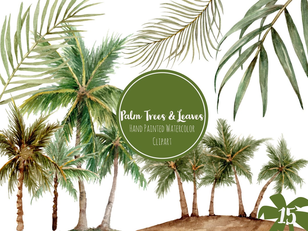 Watercolor Palm Tree Clipart: Tropical Leaves Graphics (digital ...