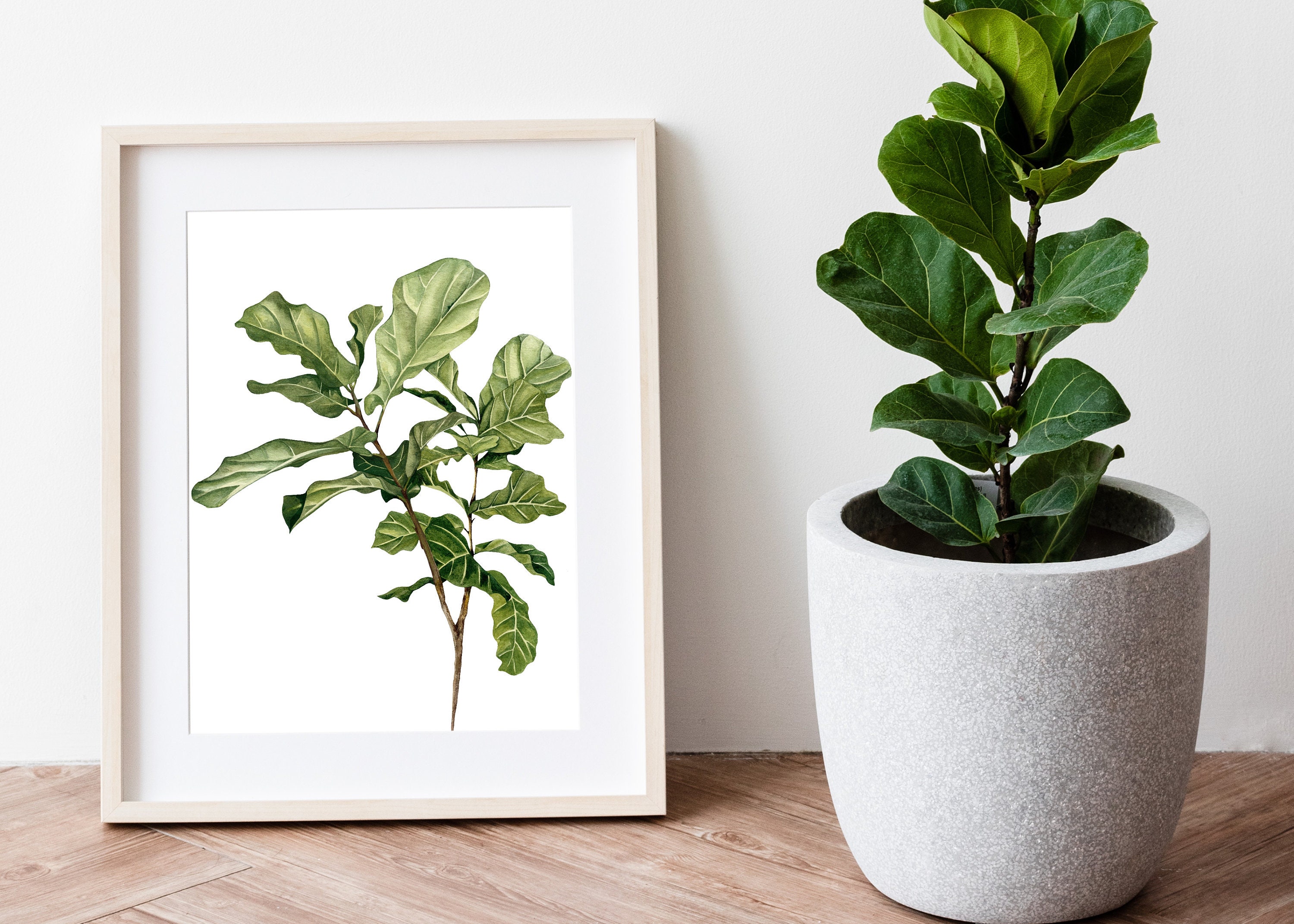 Fiddle Leaf Fig Tree Watercolor Painting Art Print Printable - Etsy Canada