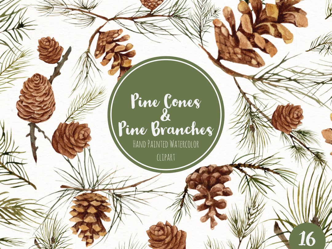 Watercolor Pine Cone Clipart- Hand Painted Woodland Pine Branches Clip ...