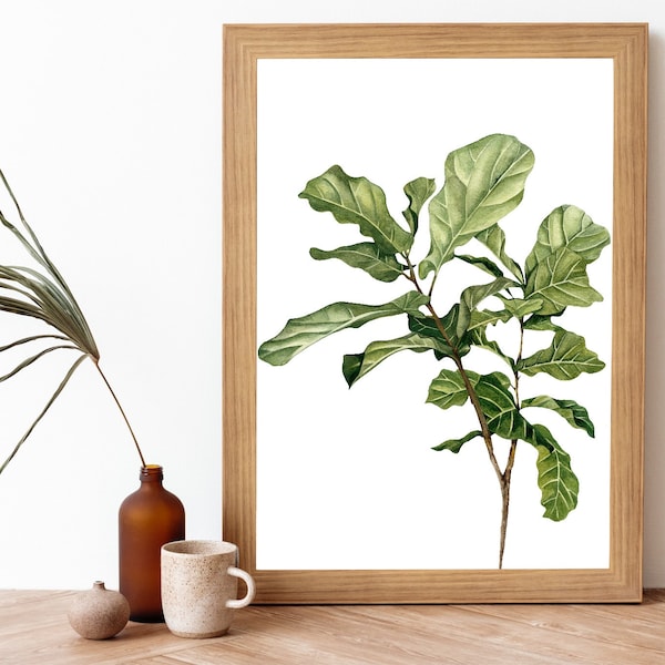 Large Fiddle Leaf Fig Tree - Etsy