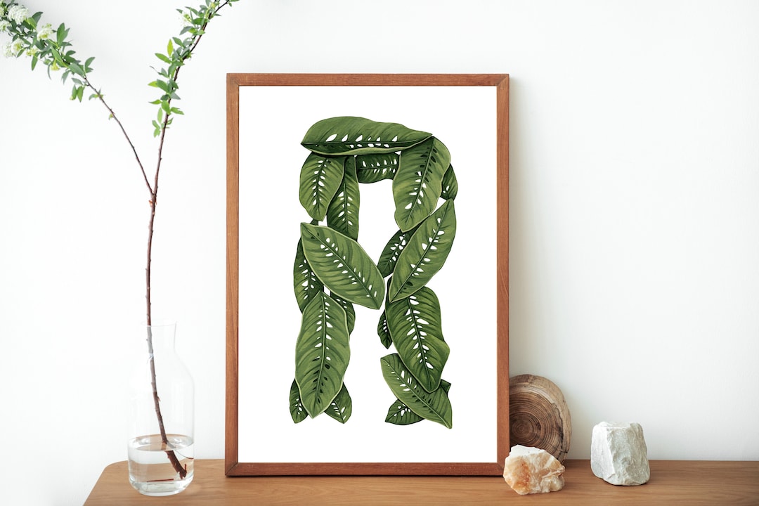 Botanical Letter R Alphabet Print Rhaphidophora Foraminifera Plant ...