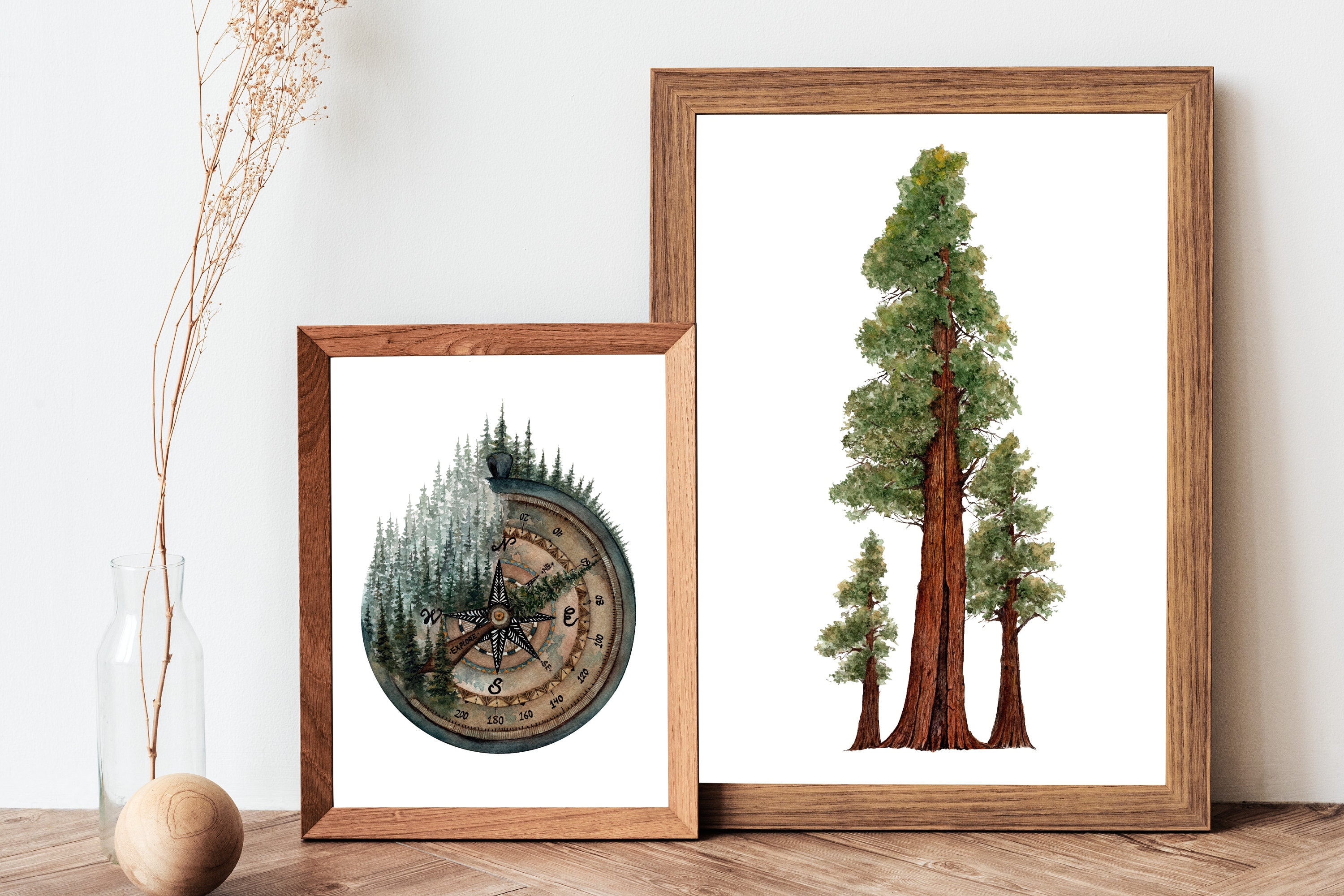 Explore Forest Compass Watercolor Painting Art Print Green - Etsy