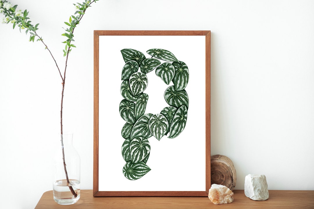 Botanical Letter P Alphabet Print- Watermelon Peperomia Plant Painting ...
