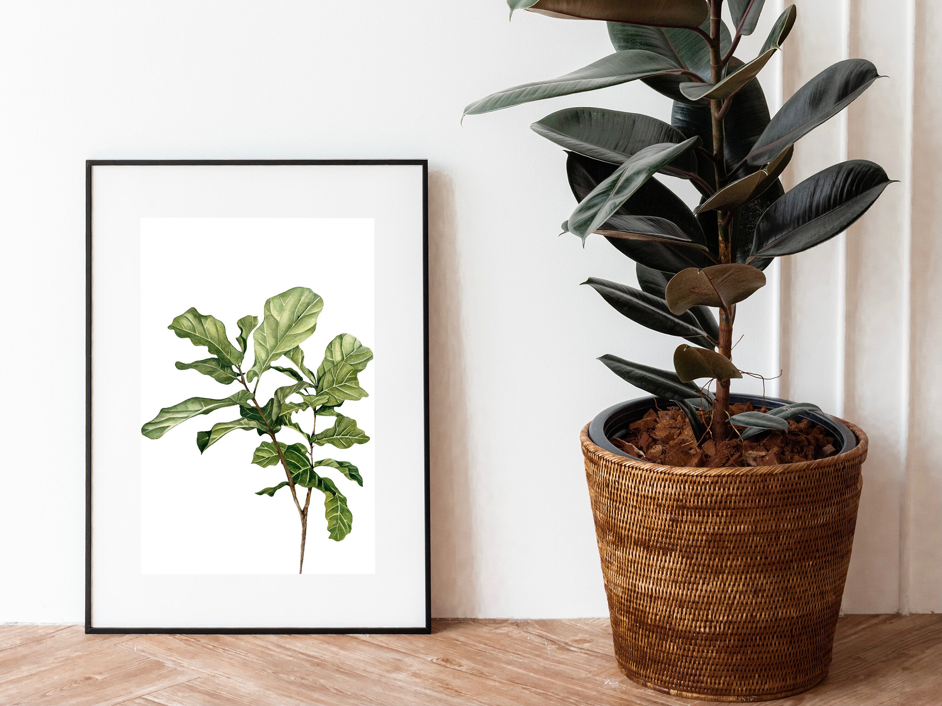Fiddle Leaf Fig Tree Watercolor Painting Art Print Printable | Etsy Canada