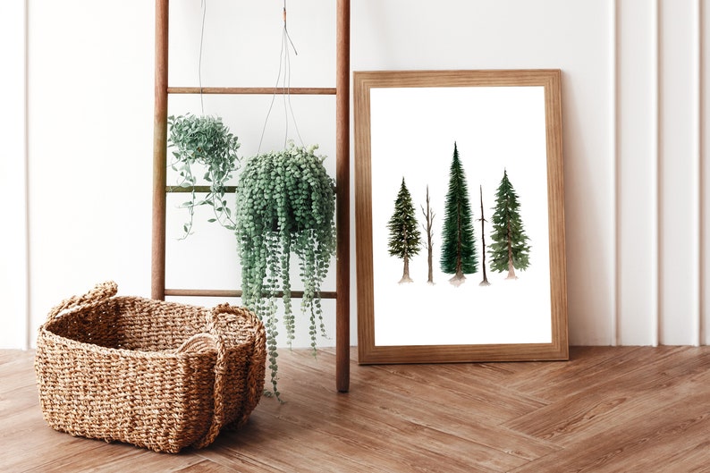 Pine Tree Watercolor Painting Scandinavian Tree Poster Pine | Etsy