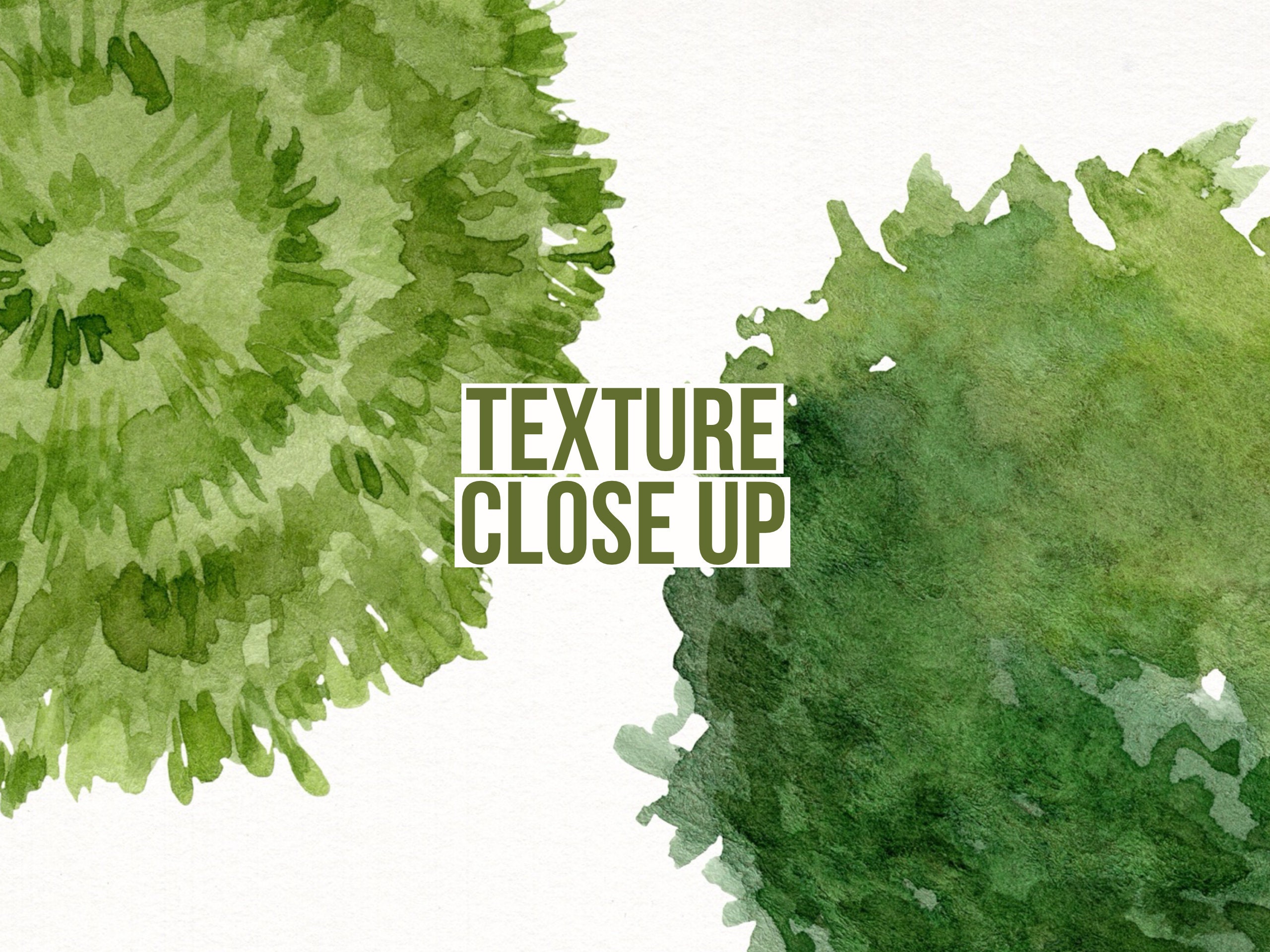 Architectural Watercolor Trees Top View