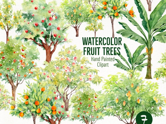 Fruit Trees Clip Art