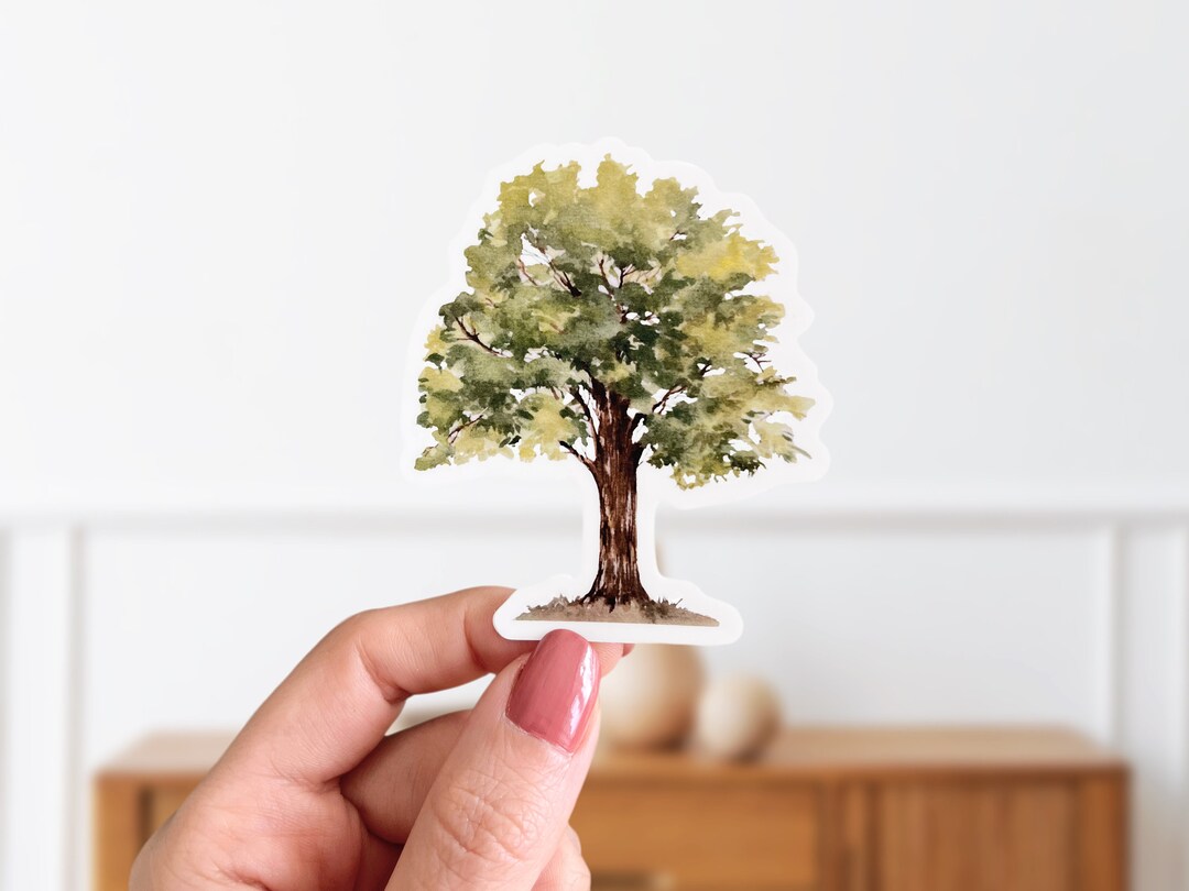 Oak Tree Sticker: Glossy Die Cut Vinyl Decal - Etsy