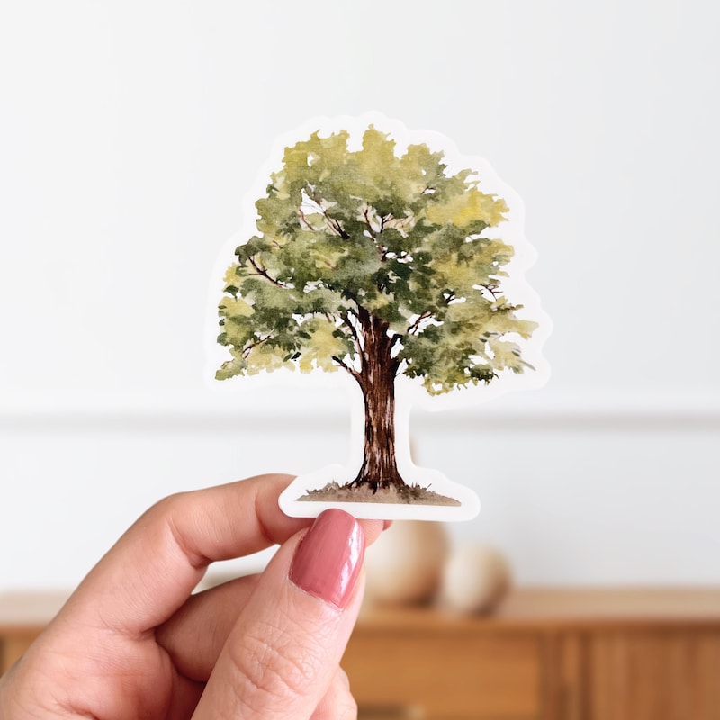 Oak Sticker - Etsy