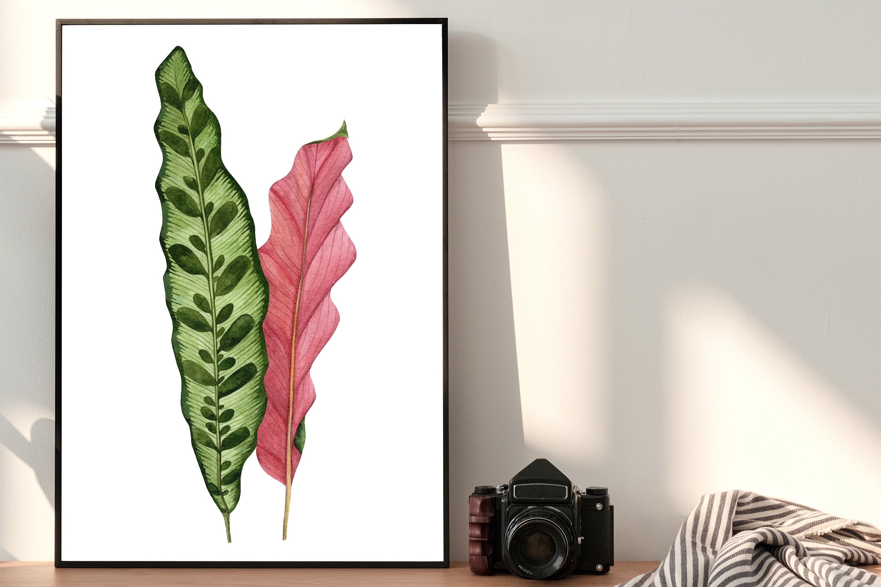 Calathea Rattlesnake Plant Watercolor Art Print: Botanical Illustration ...