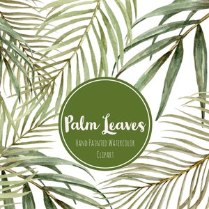Watercolor Palm Tree Clipart: Tropical Leaves Graphics (digital ...