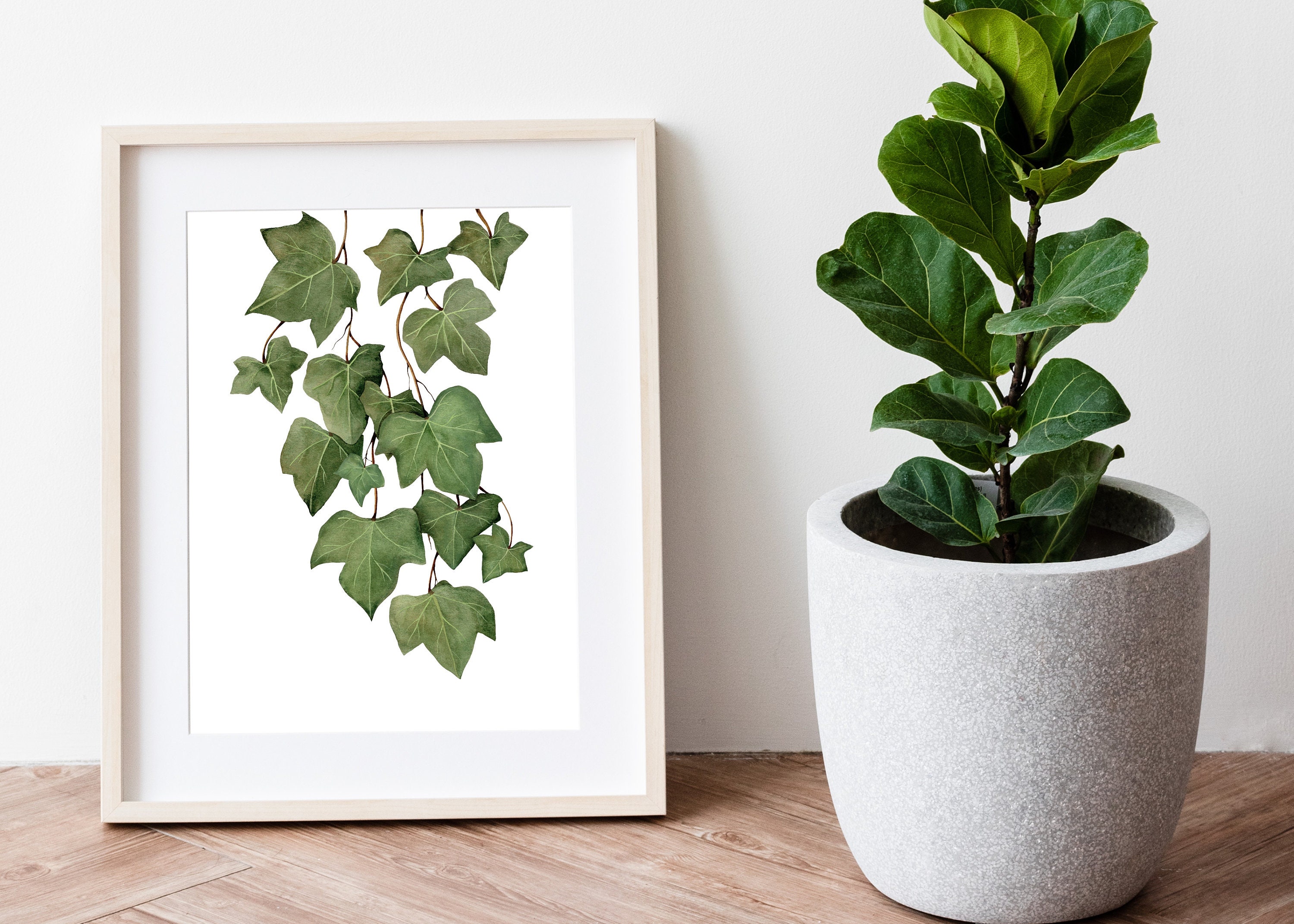 Watercolor Hanging Ivy Painting Printable Art Print English | Etsy