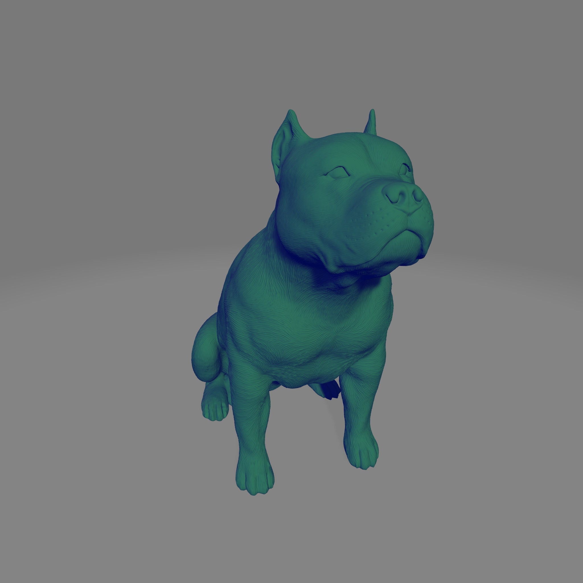 Resin 3D Printed American Bully Pit Bull With Cropped Ears - Etsy