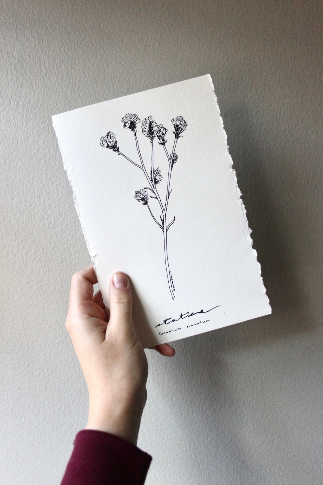 Minimalist Floral Drawing, Black Ink Flower, Statice Ink Sketch, Simple ...