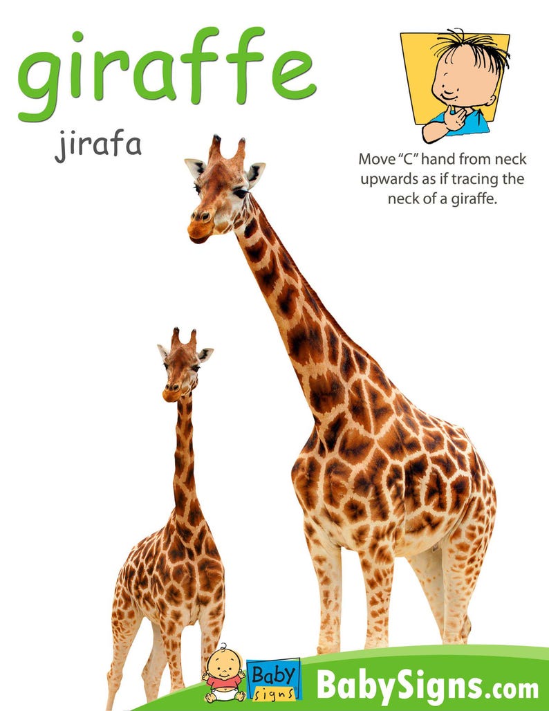 Zoo Animal Signs Poster Pack - Etsy