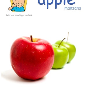 Halloween Signs Poster Pack: Bilingual Toddler Learning (digital ...